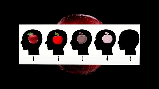 BBC - The Social - Aphantasia - what it's like when you can't recall ...