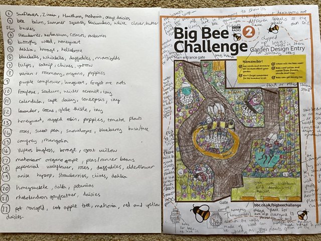 BBC Radio 2 - Radio 2's Big Bee Challenge - Big Bee Challenge winner ...