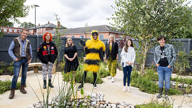 BBC Radio 2 - Radio 2's Big Bee Challenge - The Big Bee Challenge live ...