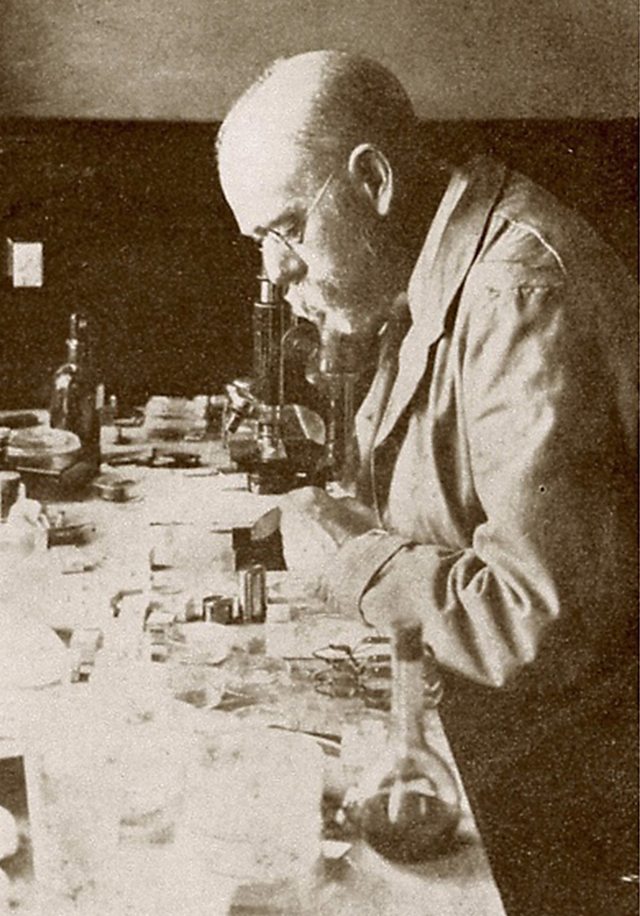 Robert Koch and bacteria - Medicine in 18th- and 19th-century Britain ...