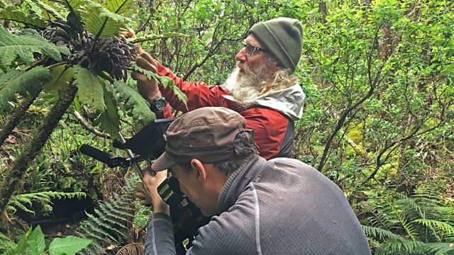 BBC One - The Green Planet - Hawaii- the capital of plant endemics… and ...
