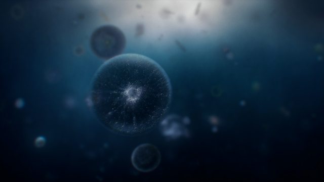 BBC One - Planet Earth III - Plankton: An unseen universe