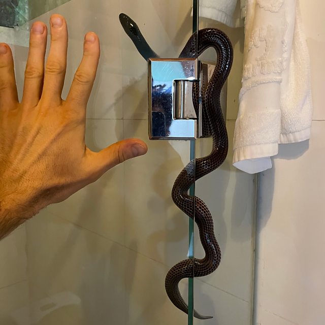 BBC One - Planet Earth III - Lighting the darkness in one of the world ...