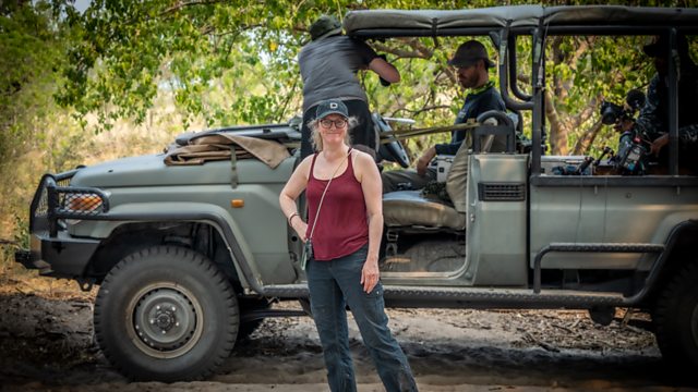 BBC Two - Big Cats 24/7 - Making Big Cats 24/7: A new format