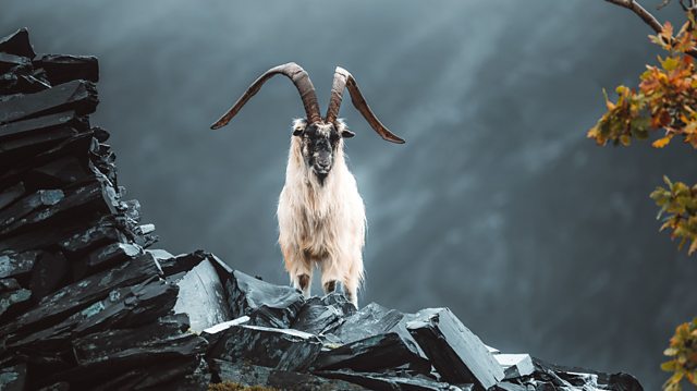 BBC One - Countryfile - The 2025 Countryfile Calendar