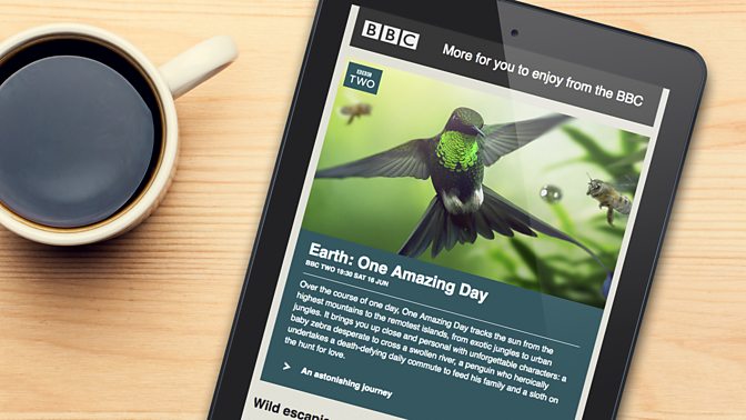 Springwatch 2019 - Springwatch 2019 - BBC