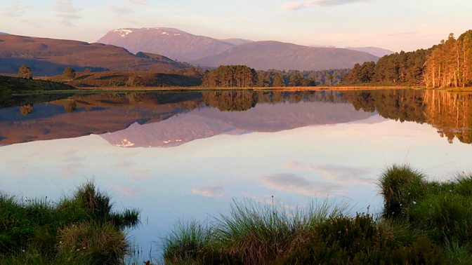 Springwatch 2019 - Springwatch 2019 - BBC