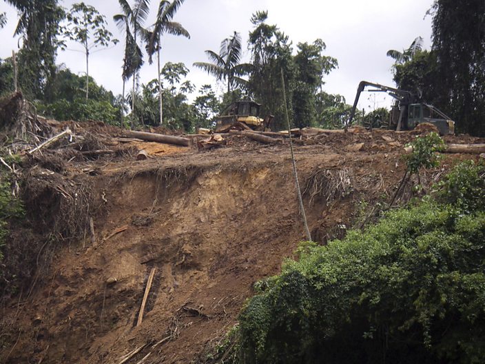The 'largest ever tropical reforestation project' is happening - BBC Three