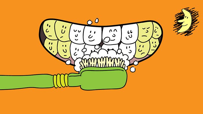 Bbc Clips Science Teeth