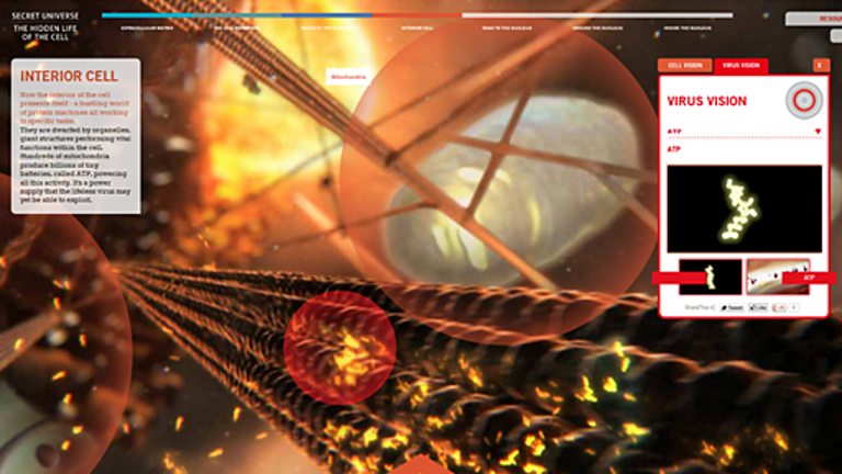 BBC Two - Secret Universe: The Hidden Life of the Cell
