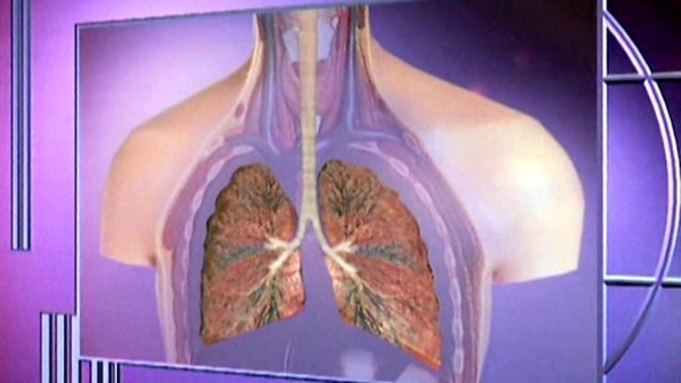 BBC Two - Science Clips, Keeping Healthy, Lungs and keeping them healthy