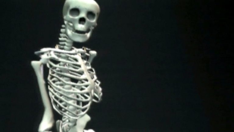 BBC Two - Science Clips, Moving and Growing, Skeletons