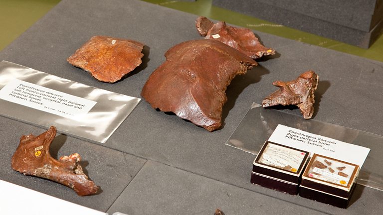 BBC World Service - Discovery, Piltdown Man