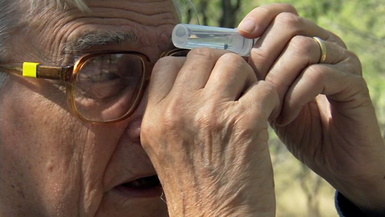 BBC One - Africa, The Future