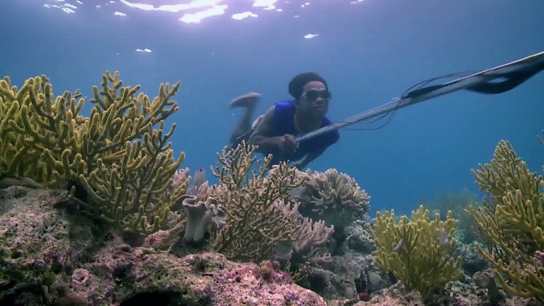 BBC Two - Rise of the Continents - Clips