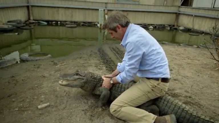 BBC Two - Rise of the Continents - Clips