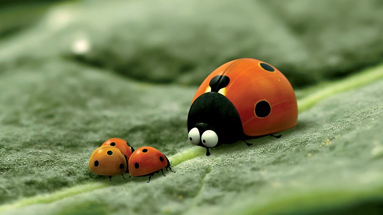 BBC Four - Minuscule: The Private Life of Insects - Episode guide