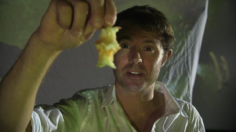 BBC Two - Science of the Harvest, How the combine harvester has changed ...