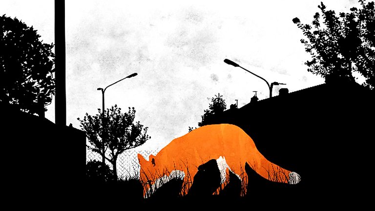 BBC One - Urban Jungle