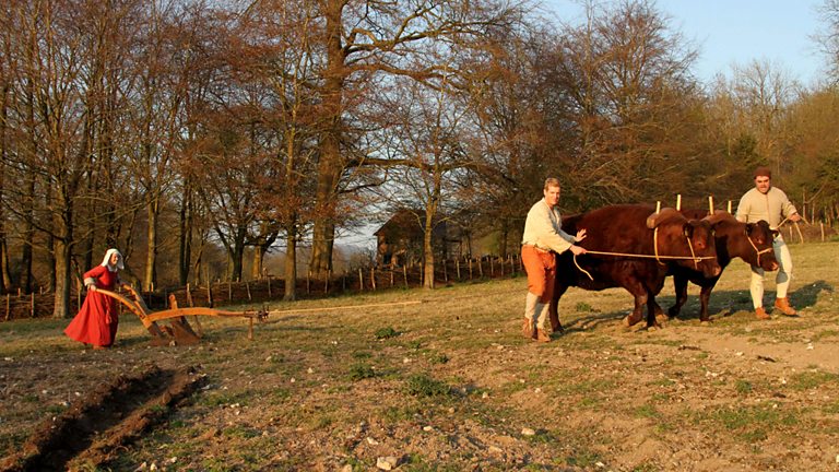 BBC Two - Tudor Monastery Farm, Series 1 - Episode guide