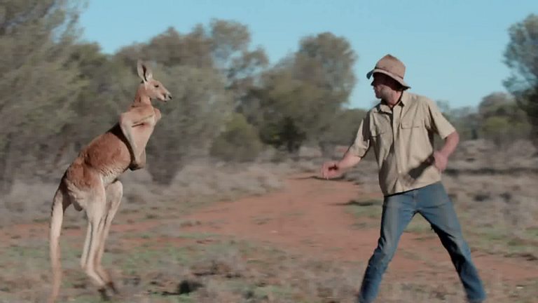 BBC Two - Kangaroo Dundee