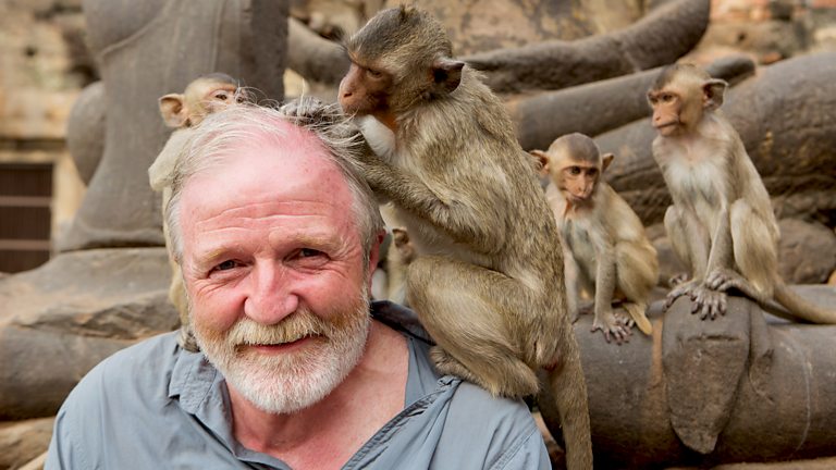 BBC One - Monkey Planet, Master Minds, In pictures: Master Minds - Long ...