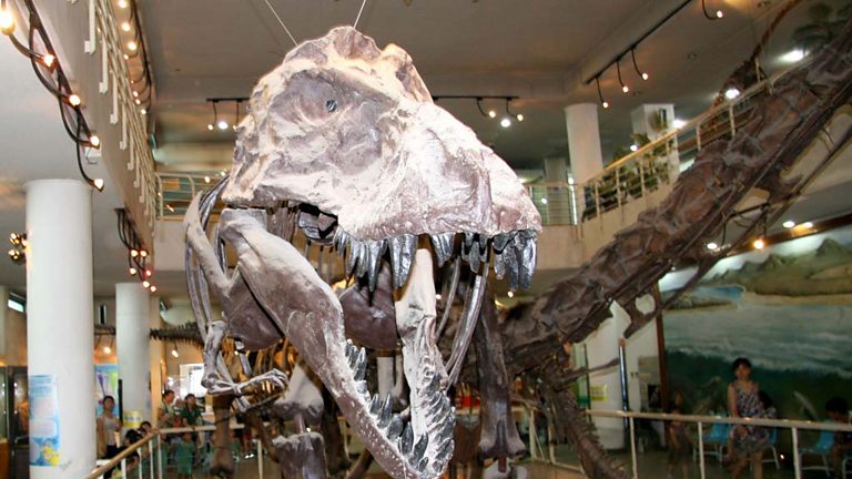 BBC Four - Fossil Wonderlands: Nature's Hidden Treasures