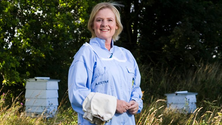 BBC Four - The Wonder of Bees with Martha Kearney