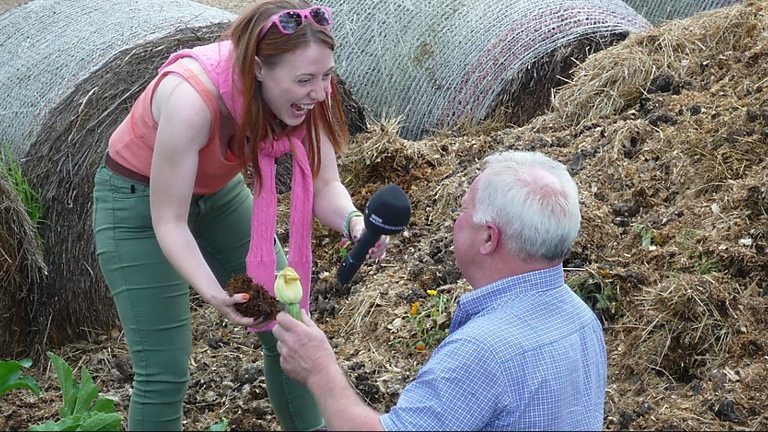 BBC Radio Norfolk - Matthew Gudgin - High Ash Farm