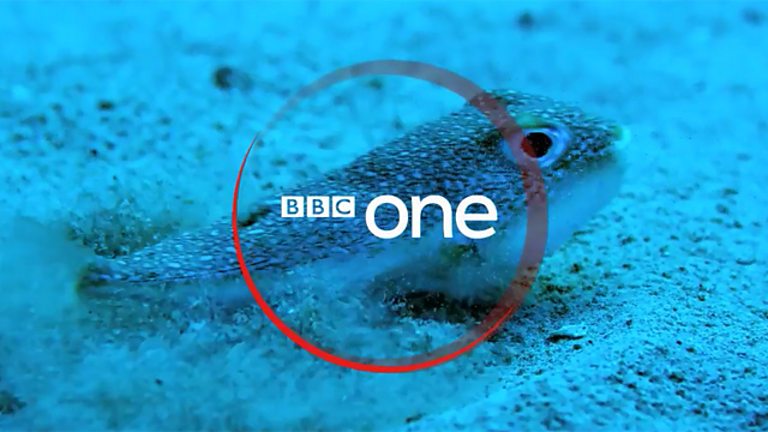 BBC One - BBC One Trailers, Life Story ident: BBC One