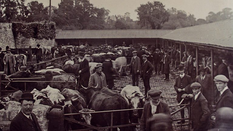 BBC - World War One At Home, Animals