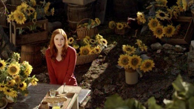 BBC One - Doctor Who (2005–2022), Series 5 - Vincent van Gogh