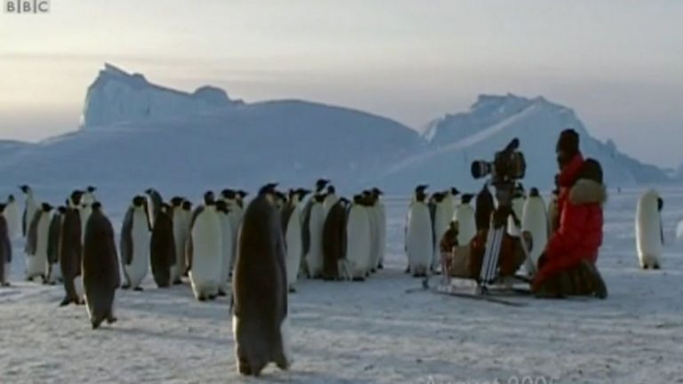 BBC One - Planet Earth, Ice Worlds