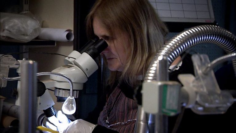 BBC Two - Digging for Britain, Series 1