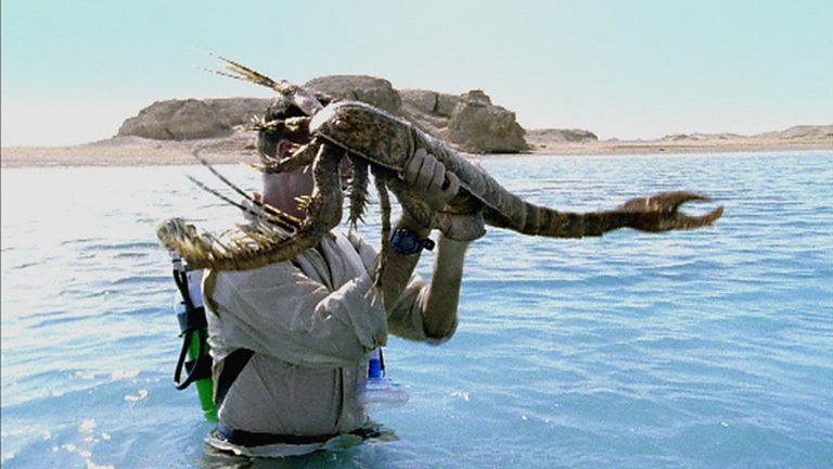 BBC One - Walking with Dinosaurs (1999), Sea Monsters: A Walking With ...