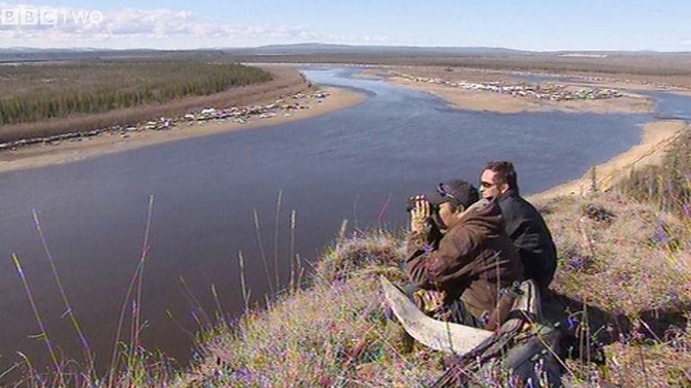 BBC Two - Arctic with Bruce Parry