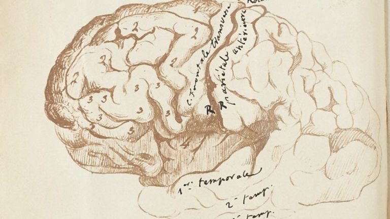 BBC Radio 4 Extra - A History of the Brain, The Beast Within