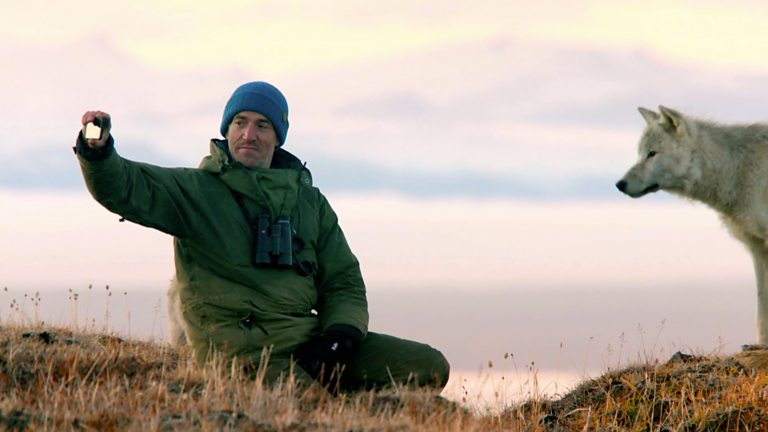 BBC Two - Snow Wolf Family and Me