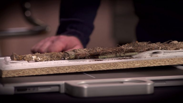 BBC Two - Digging for Britain, Series 3