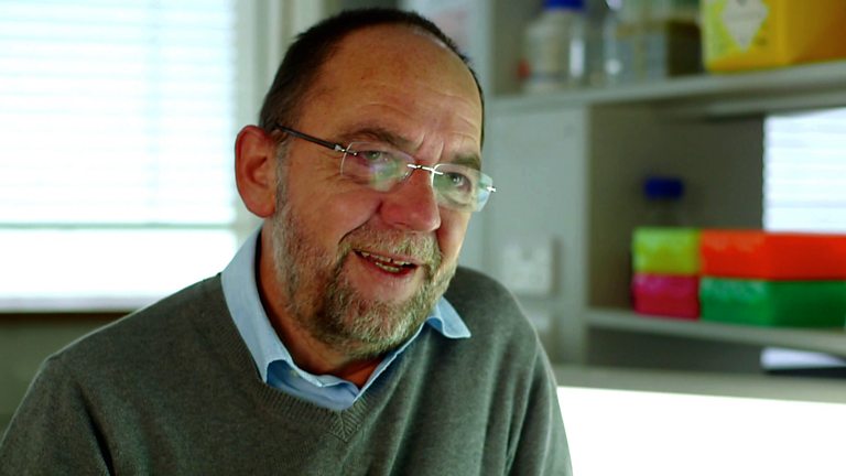 BBC Four - Catching History's Criminals: The Forensics Story, A ...