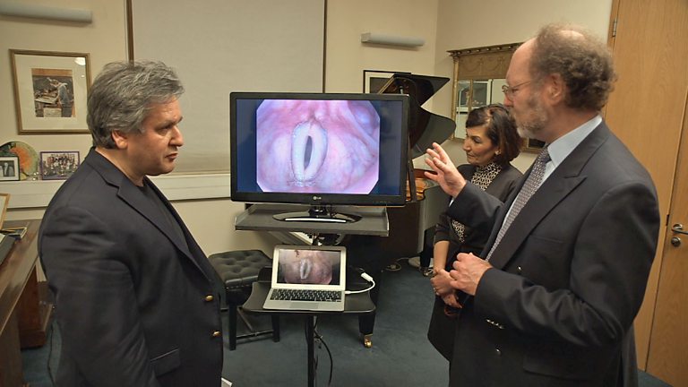 BBC Arts - BBC Arts - Why opera singers are the elite athletes of the ...