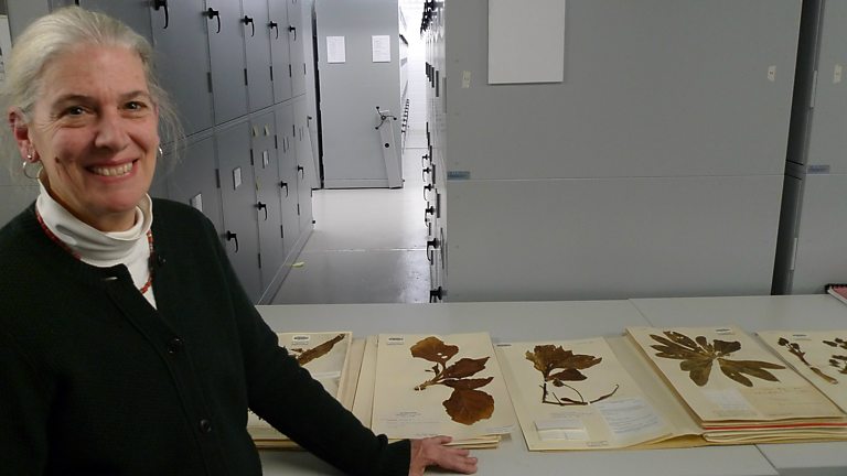 BBC Radio 4 - Natural Histories, Nightshades