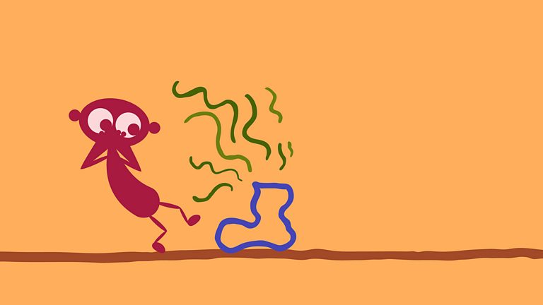 CBeebies - Dipdap - Episode guide