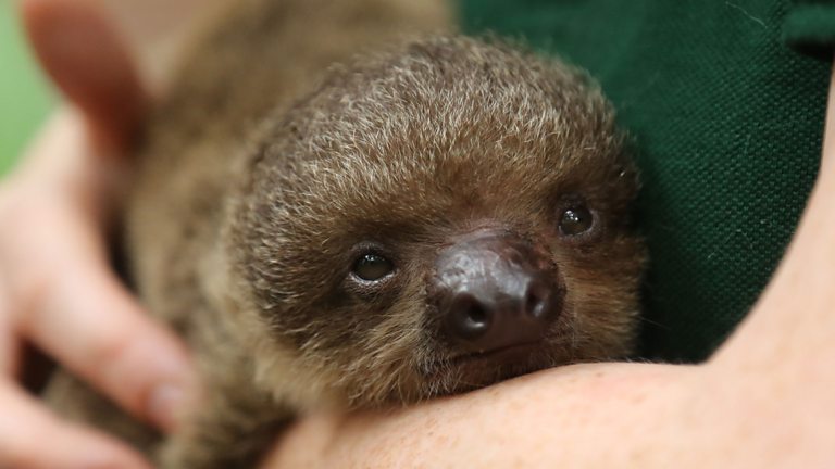 BBC World Service - Health Check