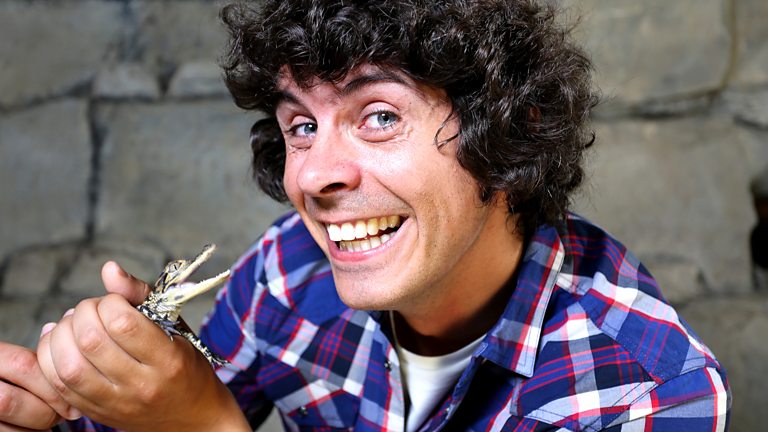 CBeebies - Andy's Baby Animals