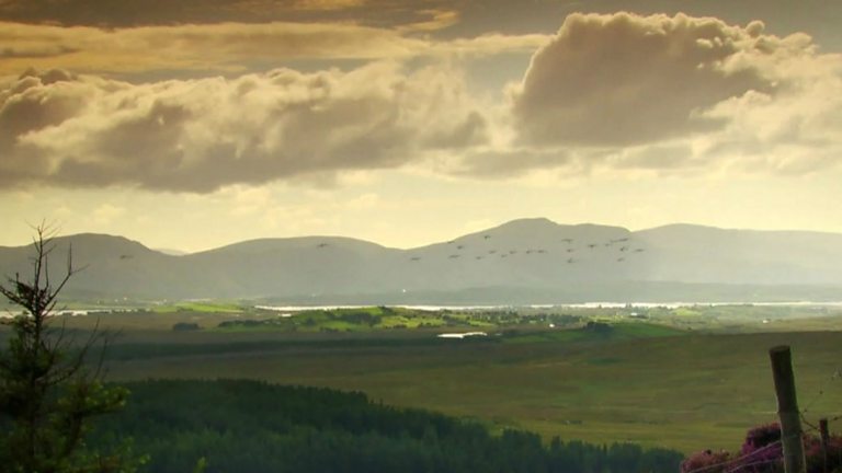 BBC News - Talking Business