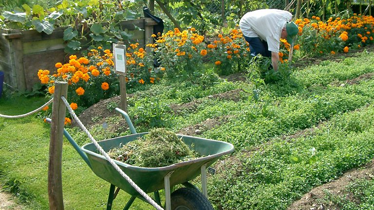 BBC Radio 4 - Gardeners' Question Time