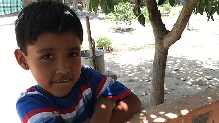 CBeebies - Where in the World?