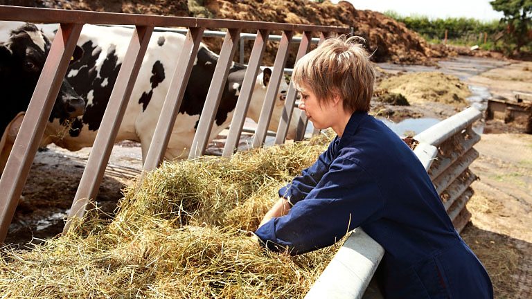 BBC Radio 4 - The Archers - Ruth Archer