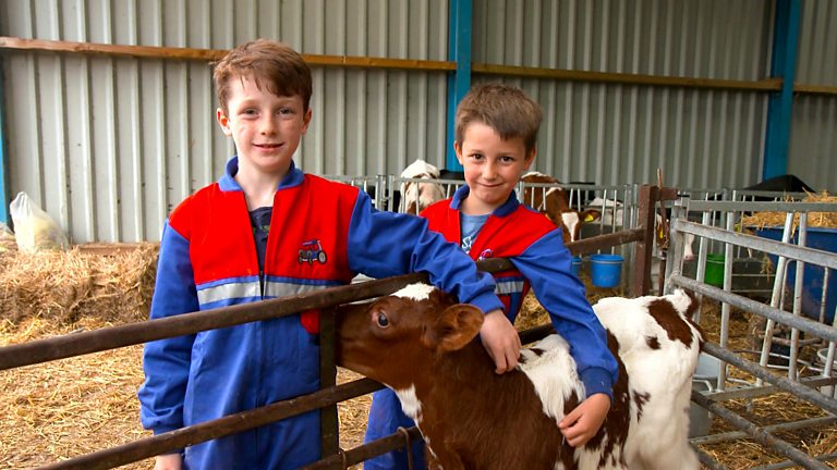 CBeebies - Ferne and Rory's Vet Tales, Series 1 - Episode guide